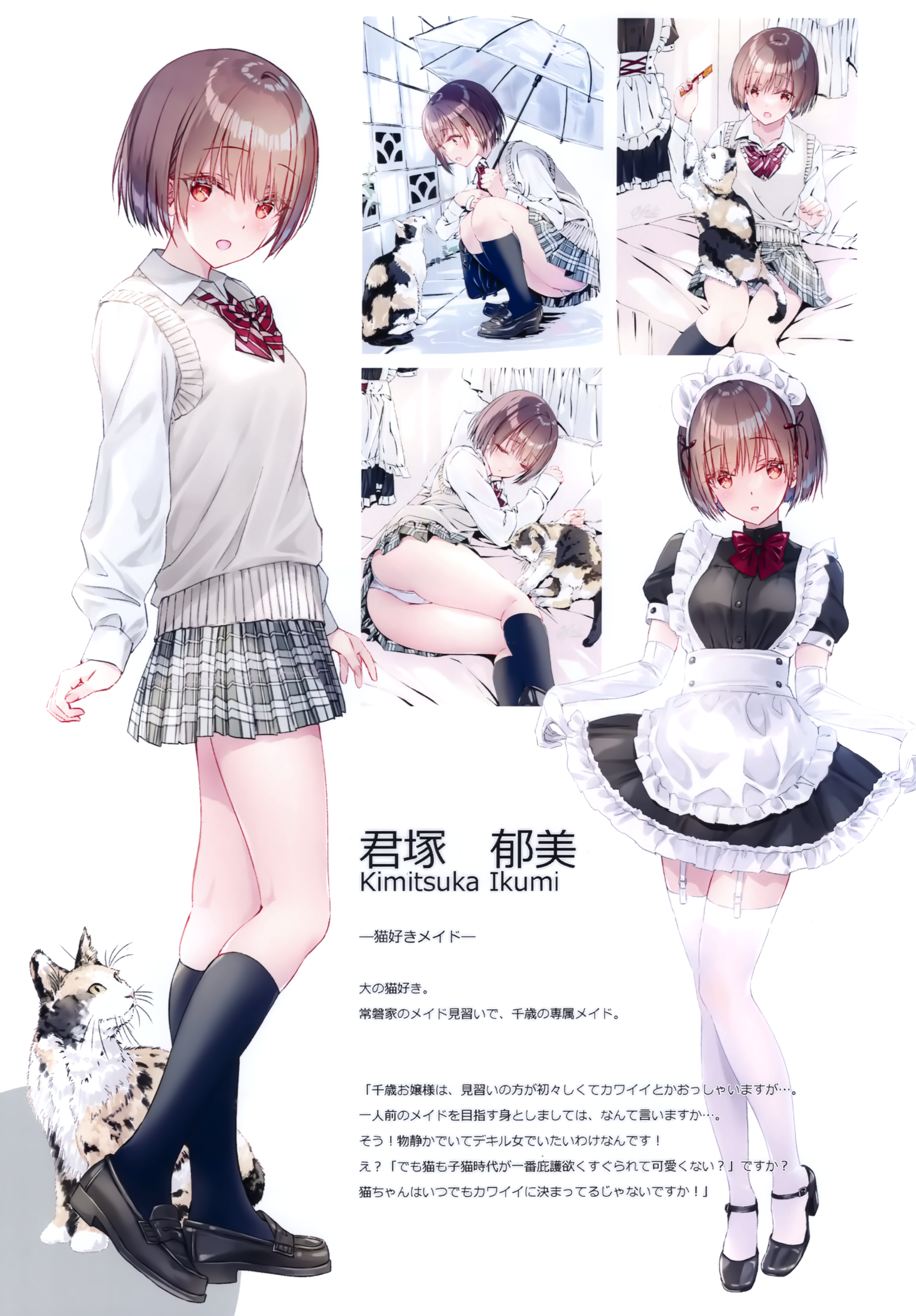 pocky factory kobayashi chisato shishunki complex kimitsuka ikumi heels maid neko pantsu profile ...